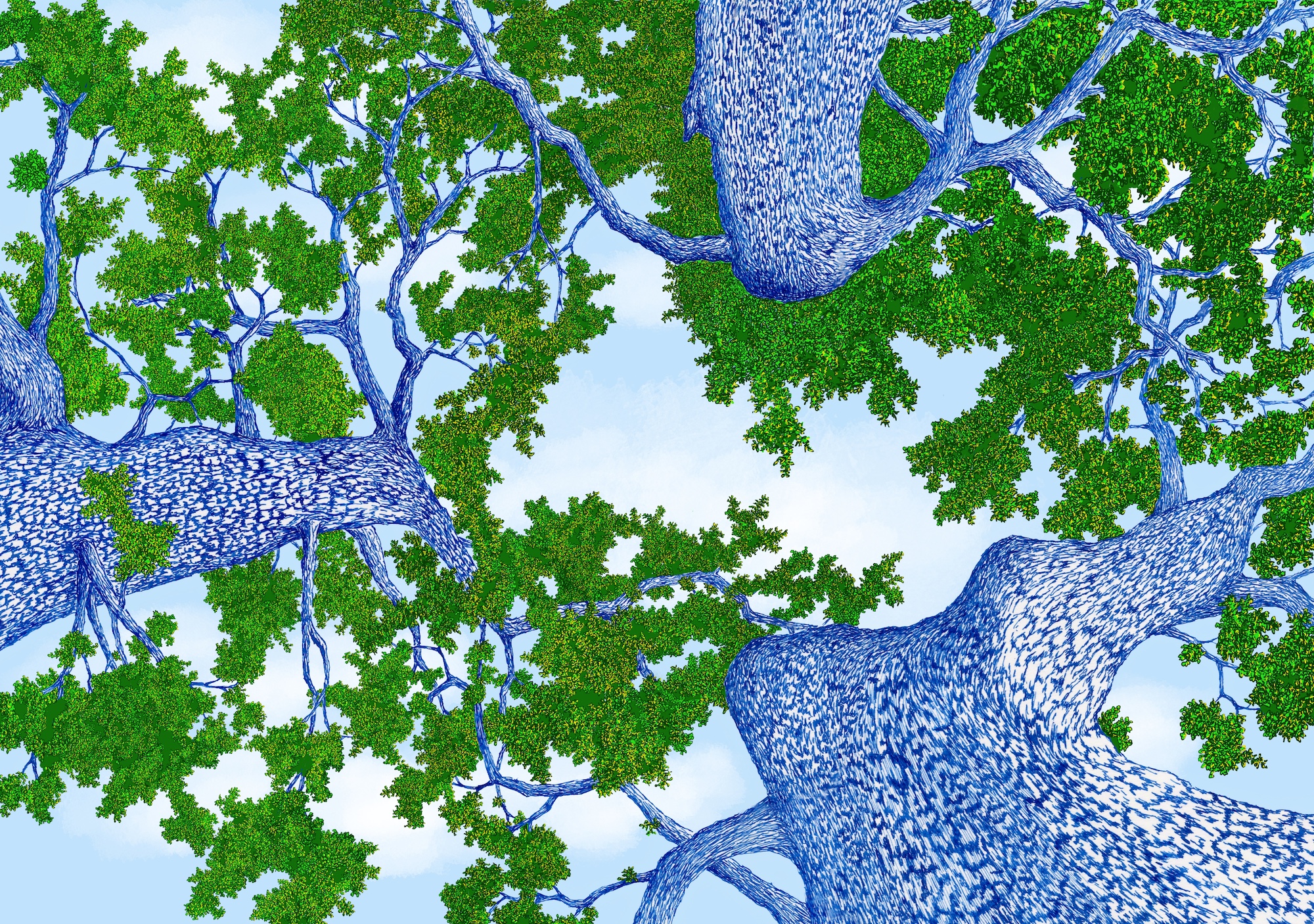 Peering Skyward in Color – Matt J Harline Fine Art
