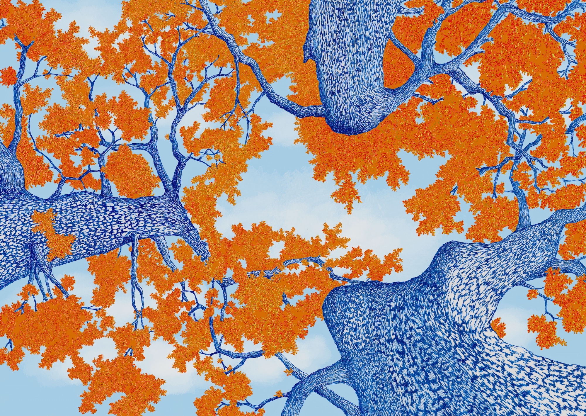 Peering Skyward in Color – Matt J Harline Fine Art